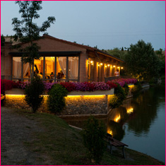 Rinaldo e Petra - Il matrimonio